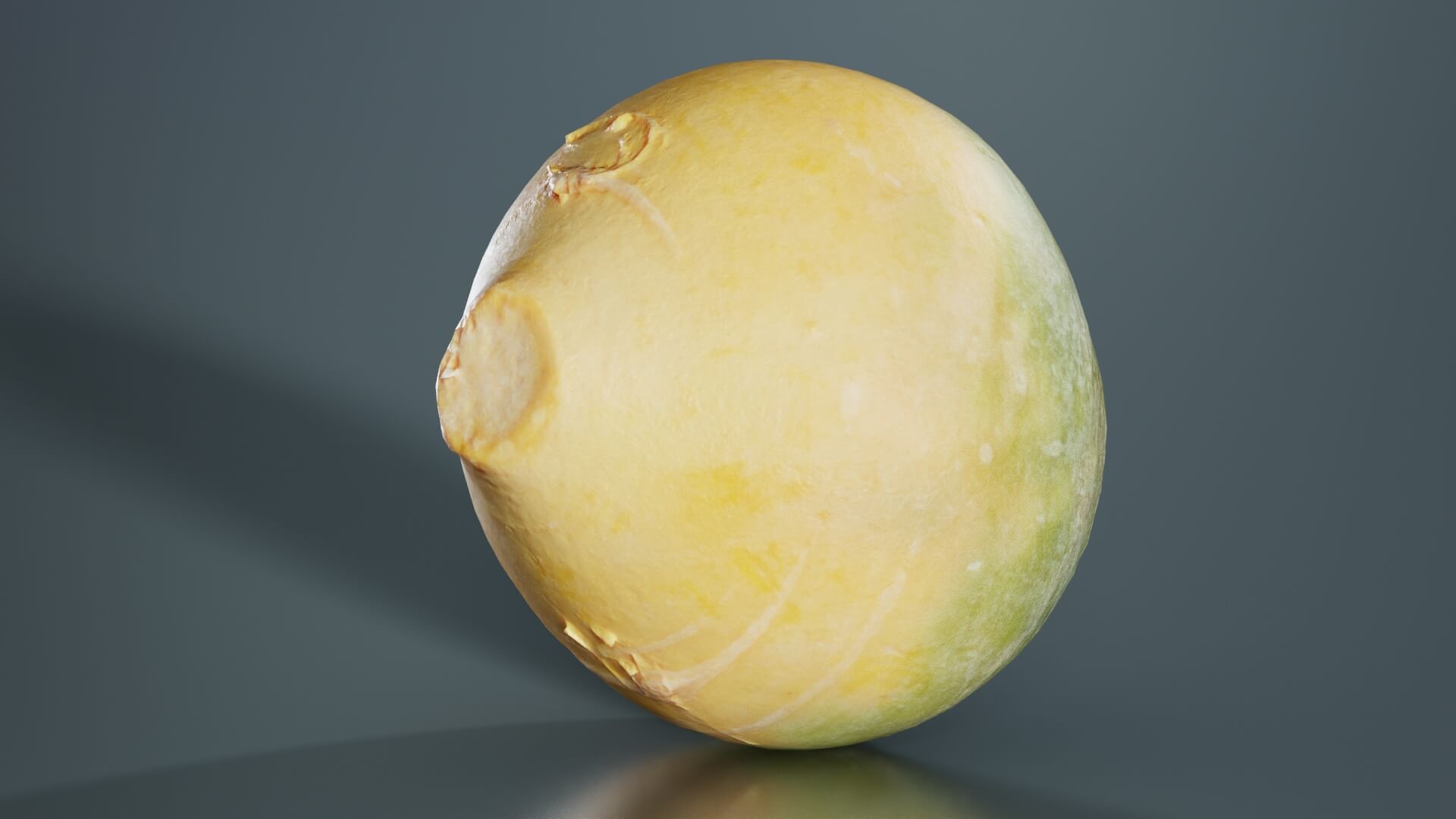 Yellow Turnip - 3D Model by Polygonal Miniatures