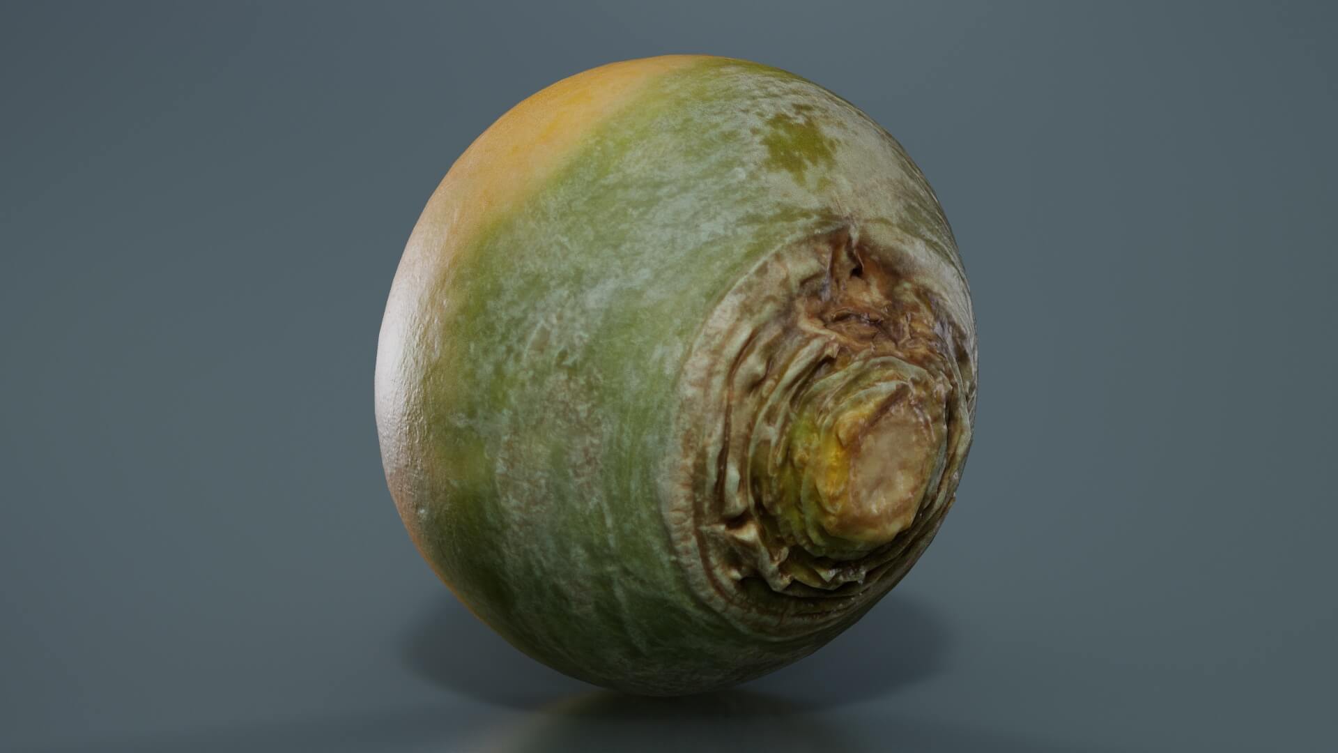 Yellow Turnip - 3D Model by Polygonal Miniatures