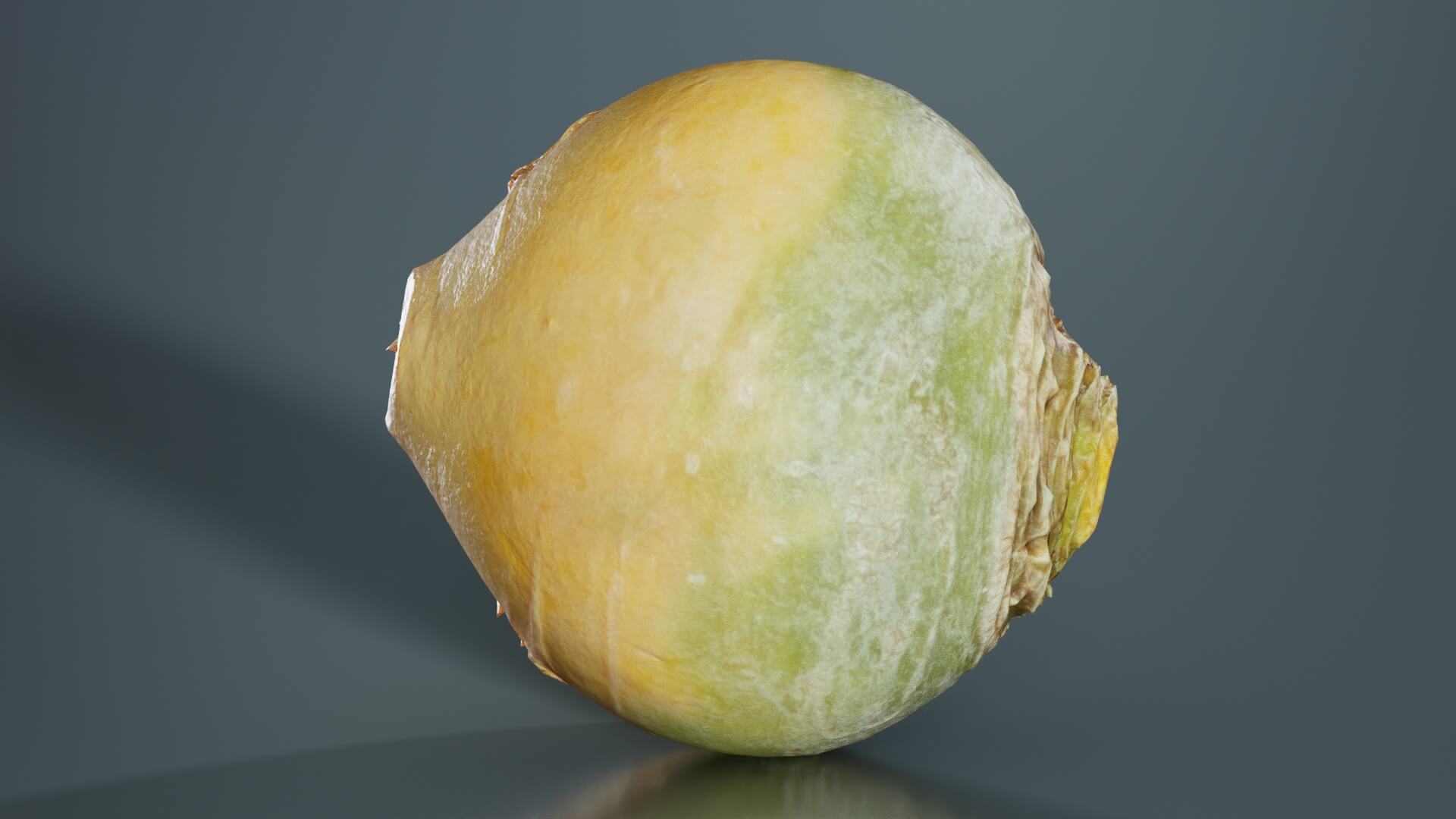 Yellow Turnip - 3D Model by Polygonal Miniatures