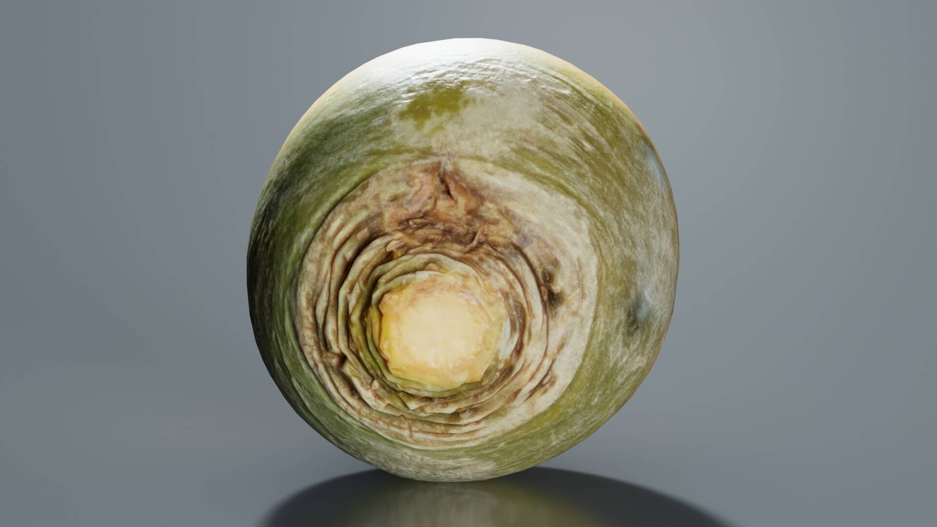 Yellow Turnip - 3D Model by Polygonal Miniatures