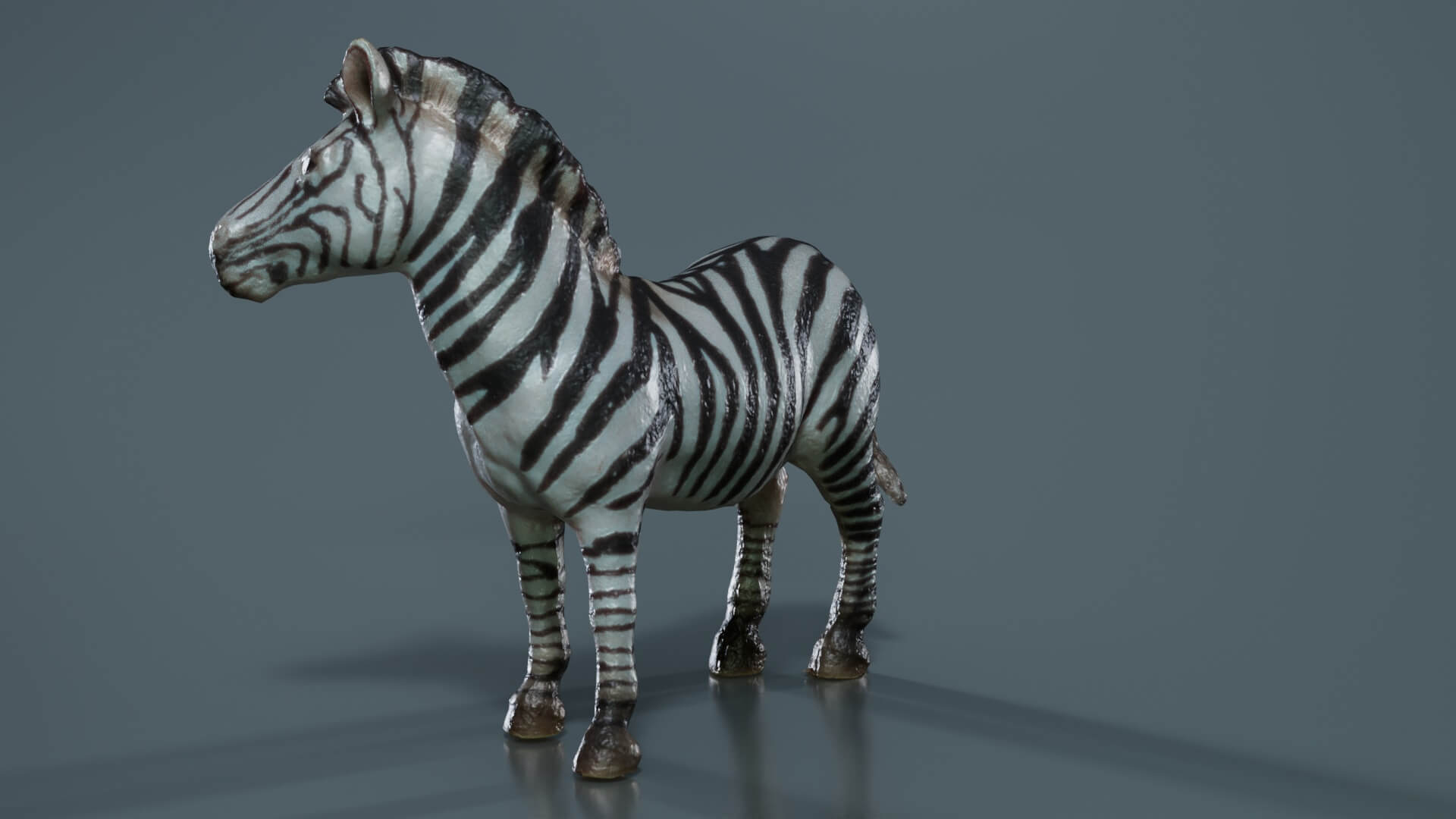 Zebra - 3D Model by Polygonal Miniatures