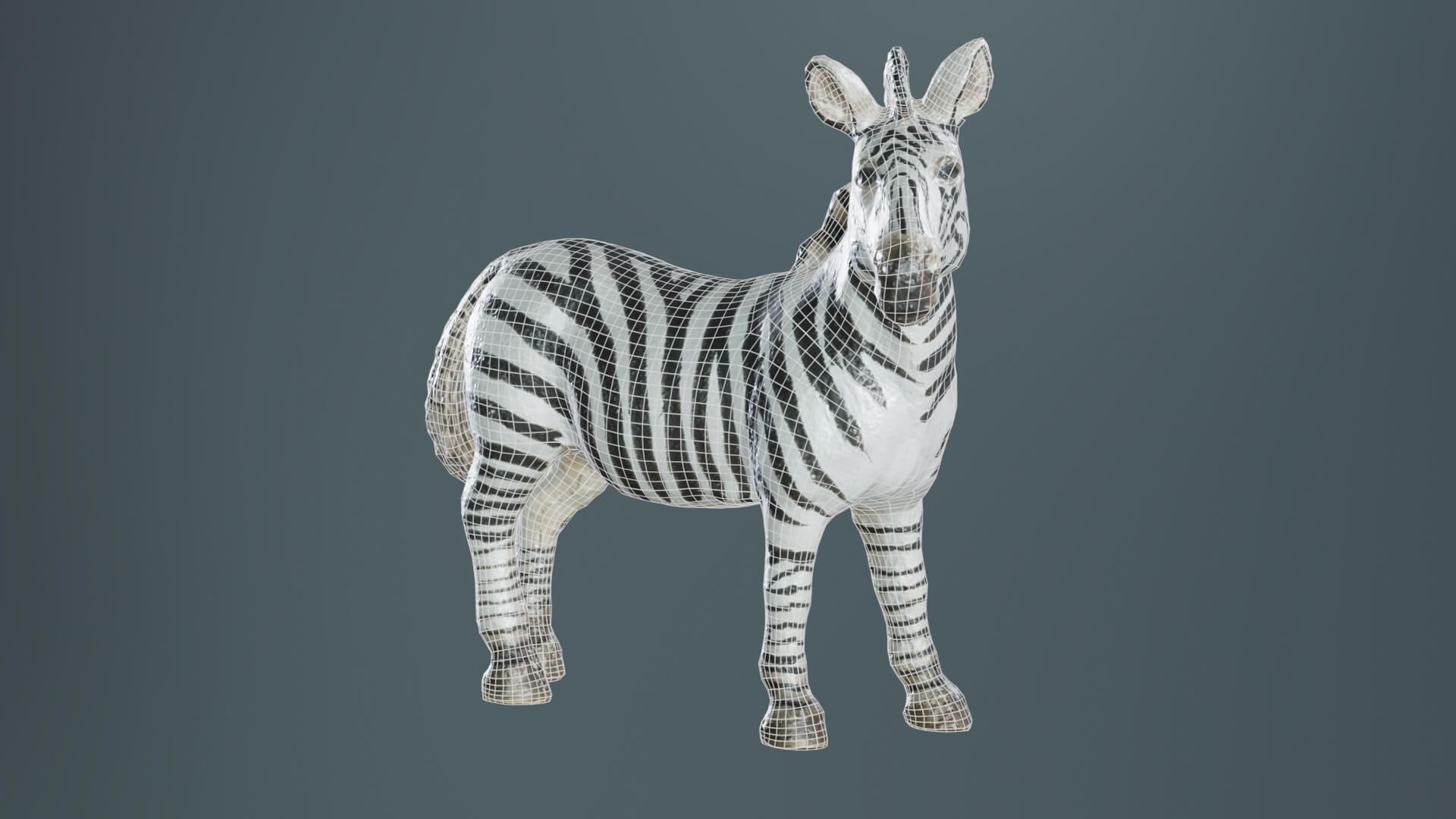 Zebra - 3D Model by Polygonal Miniatures