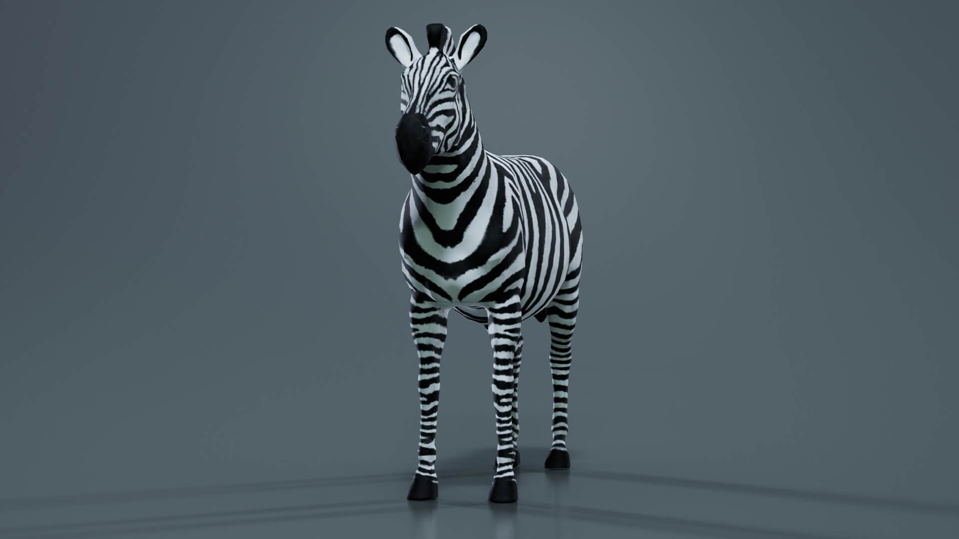 Zebra Standing - 3D Model by Polygonal Miniatures