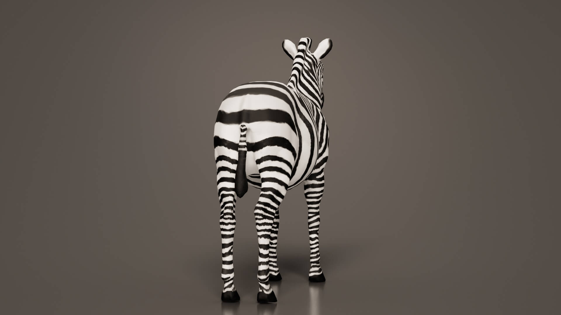 Zebra Standing - 3D Model by Polygonal Miniatures