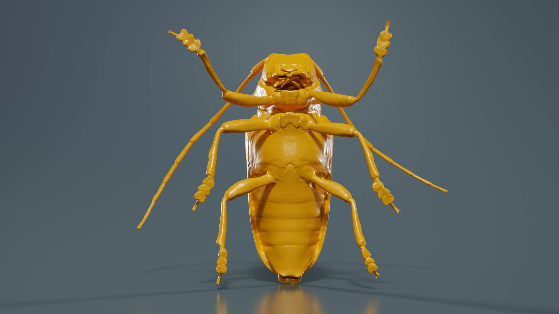 Zographus Regalis Centralis - 3D Model by Polygonal Miniatures