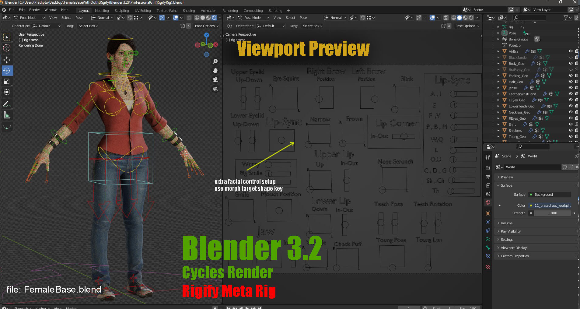 Female Base With Outfit Rig - 3D Model by Pradipta