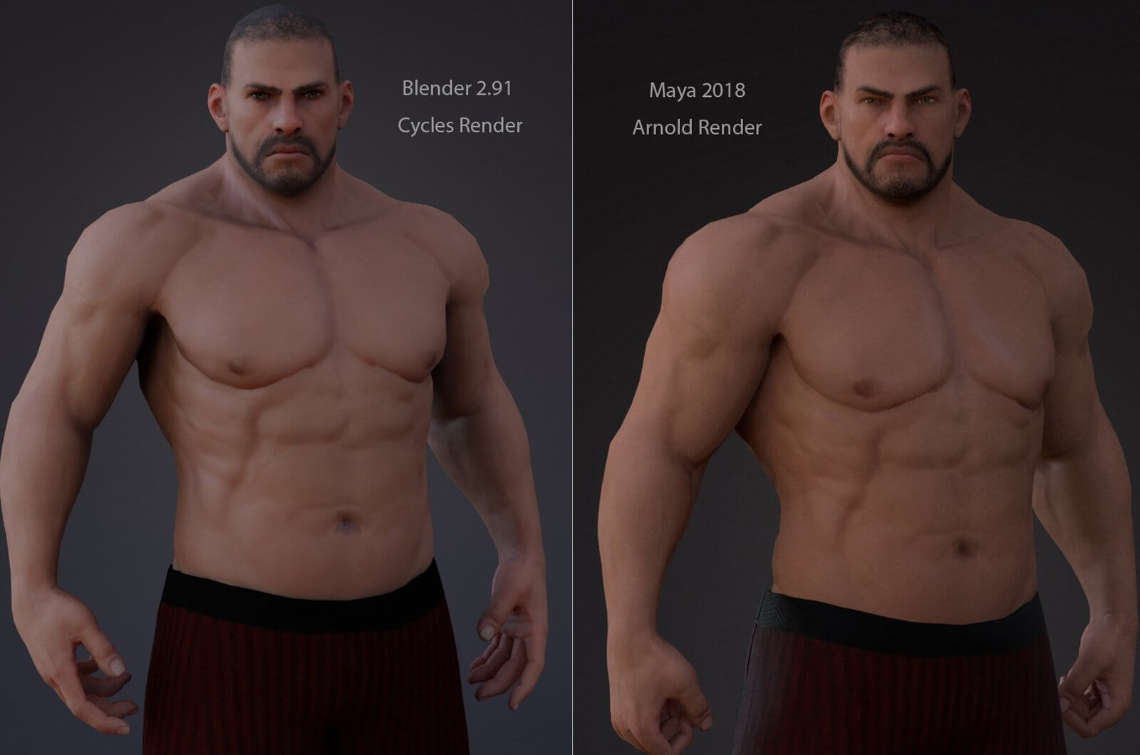 Male Base Heavy - 3D Model by Pradipta