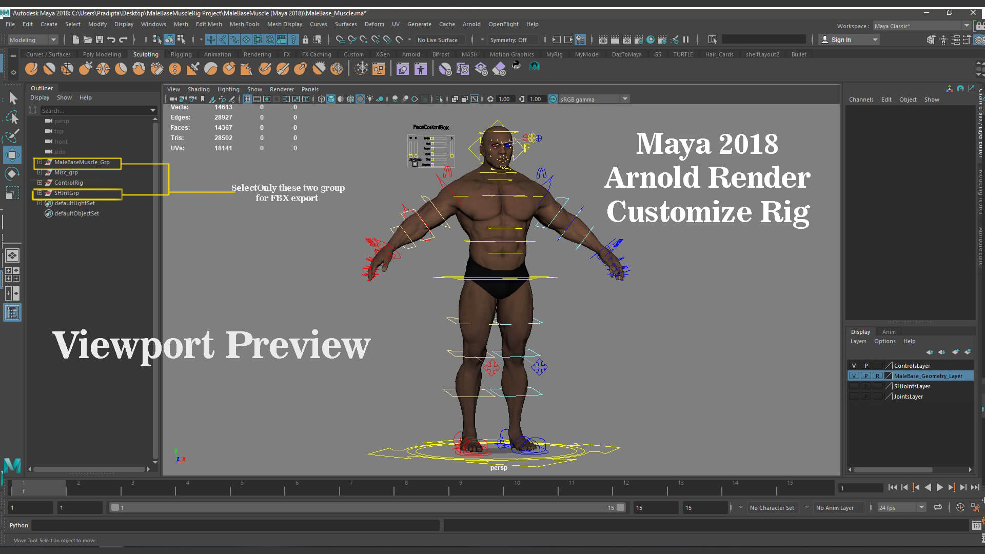 Male Base Muscle (Rig) - 3D Model by Pradipta