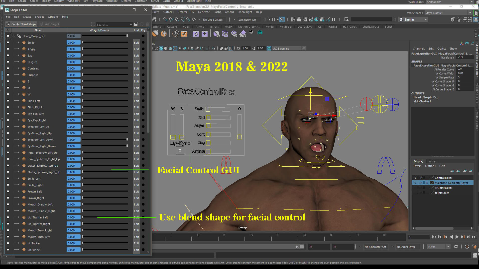 Male Base Muscle (Rig) - 3D Model by Pradipta