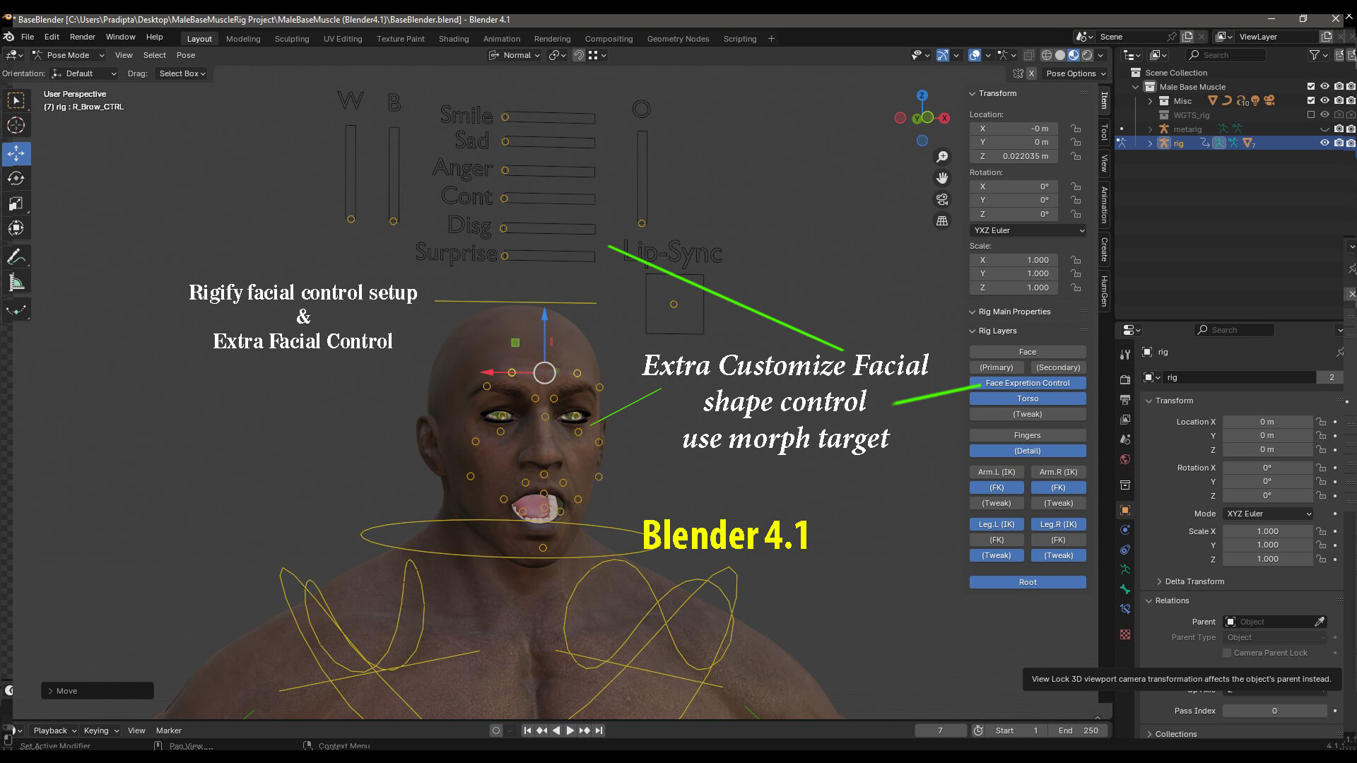Male Base Muscle (Rig) - 3D Model by Pradipta