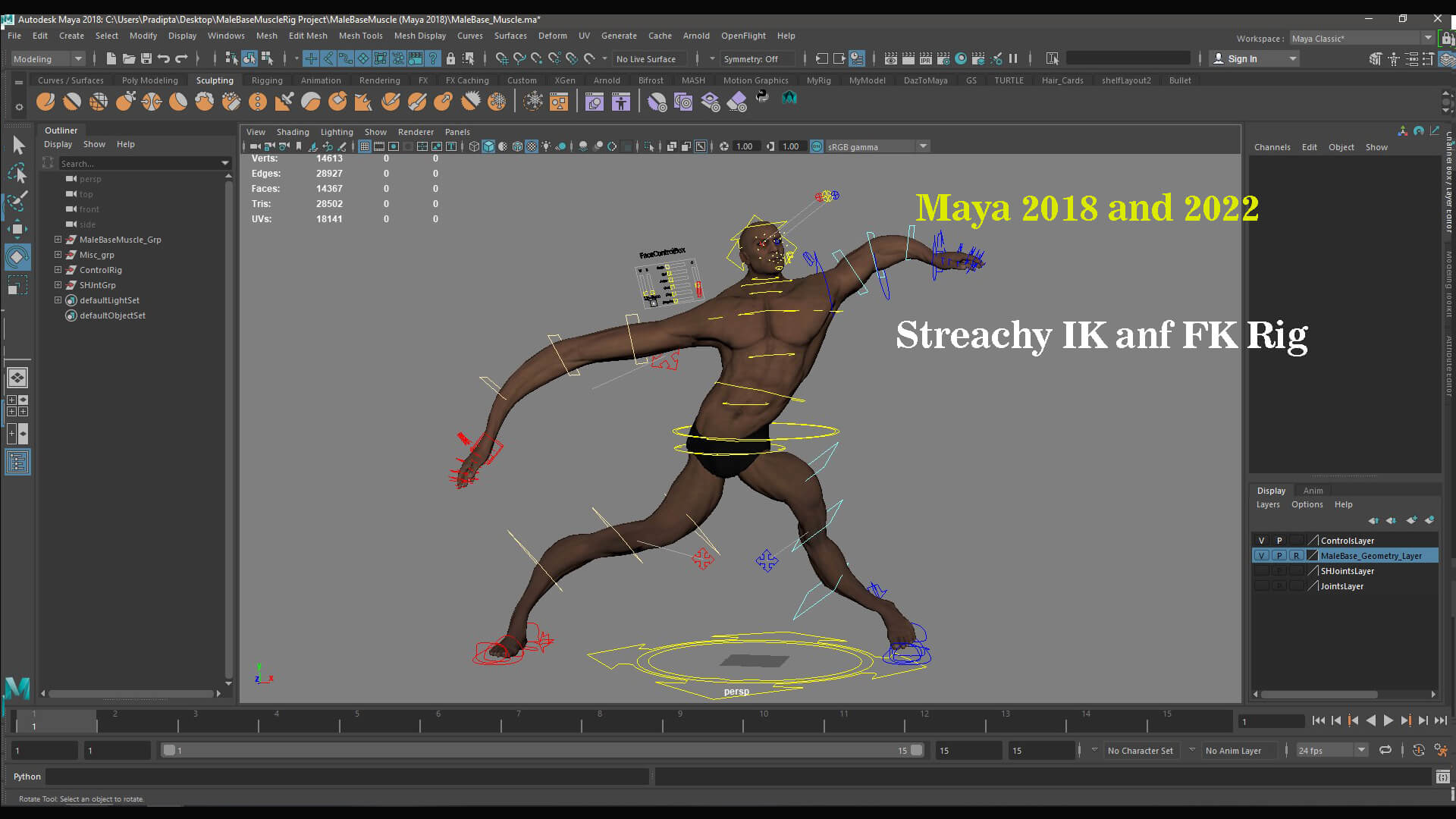 Male Base Muscle (Rig) - 3D Model by Pradipta