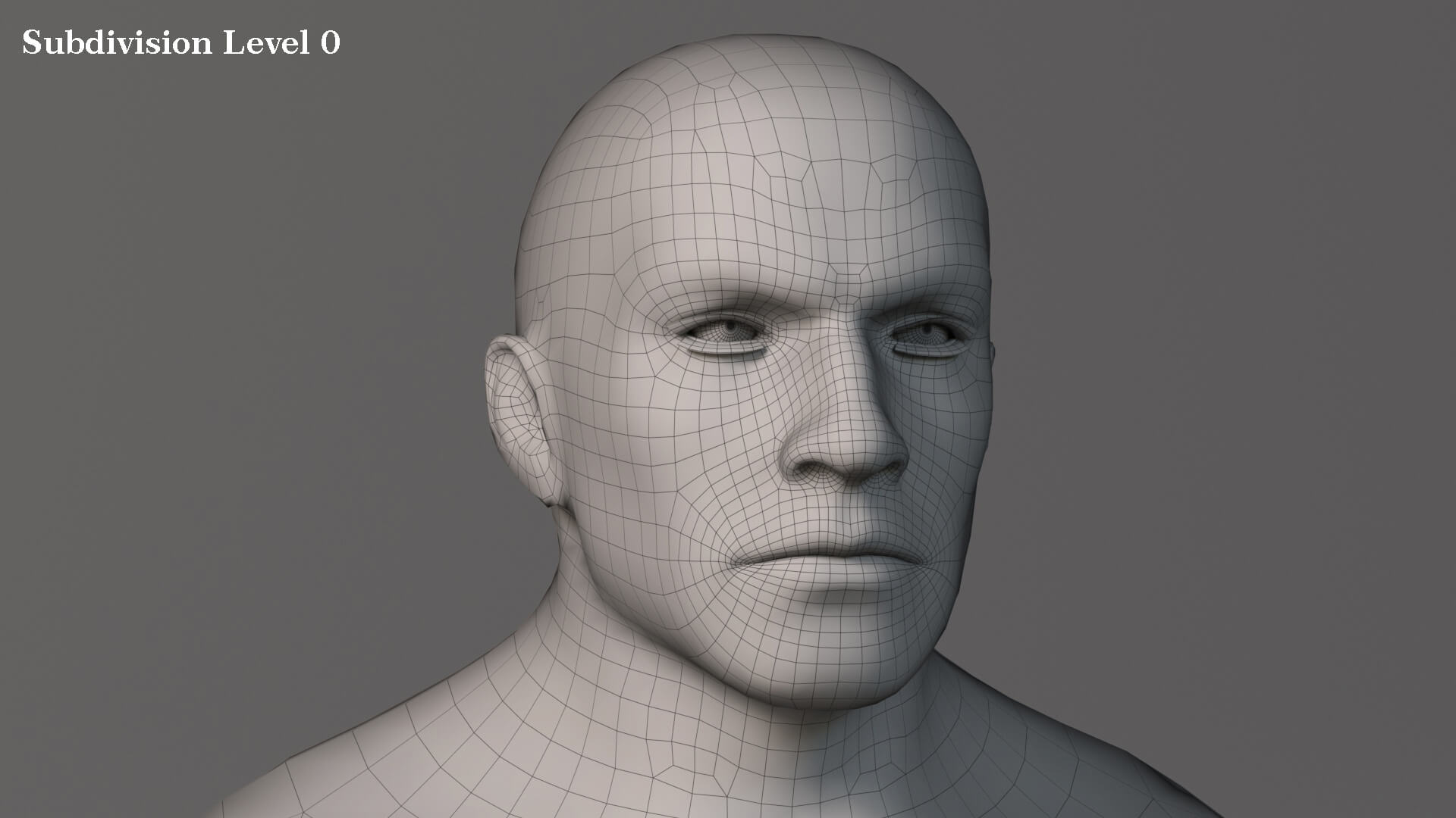 Male Base Muscle (Rig) - 3D Model by Pradipta