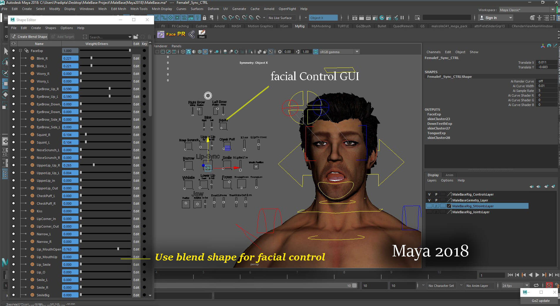Male Female Base Complete Rig - 3D Model by Pradipta