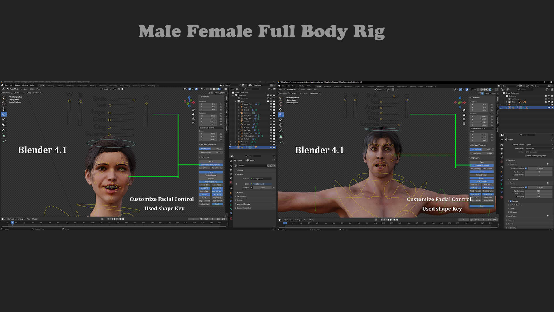Male Female Base Rig - 3D Model by Pradipta