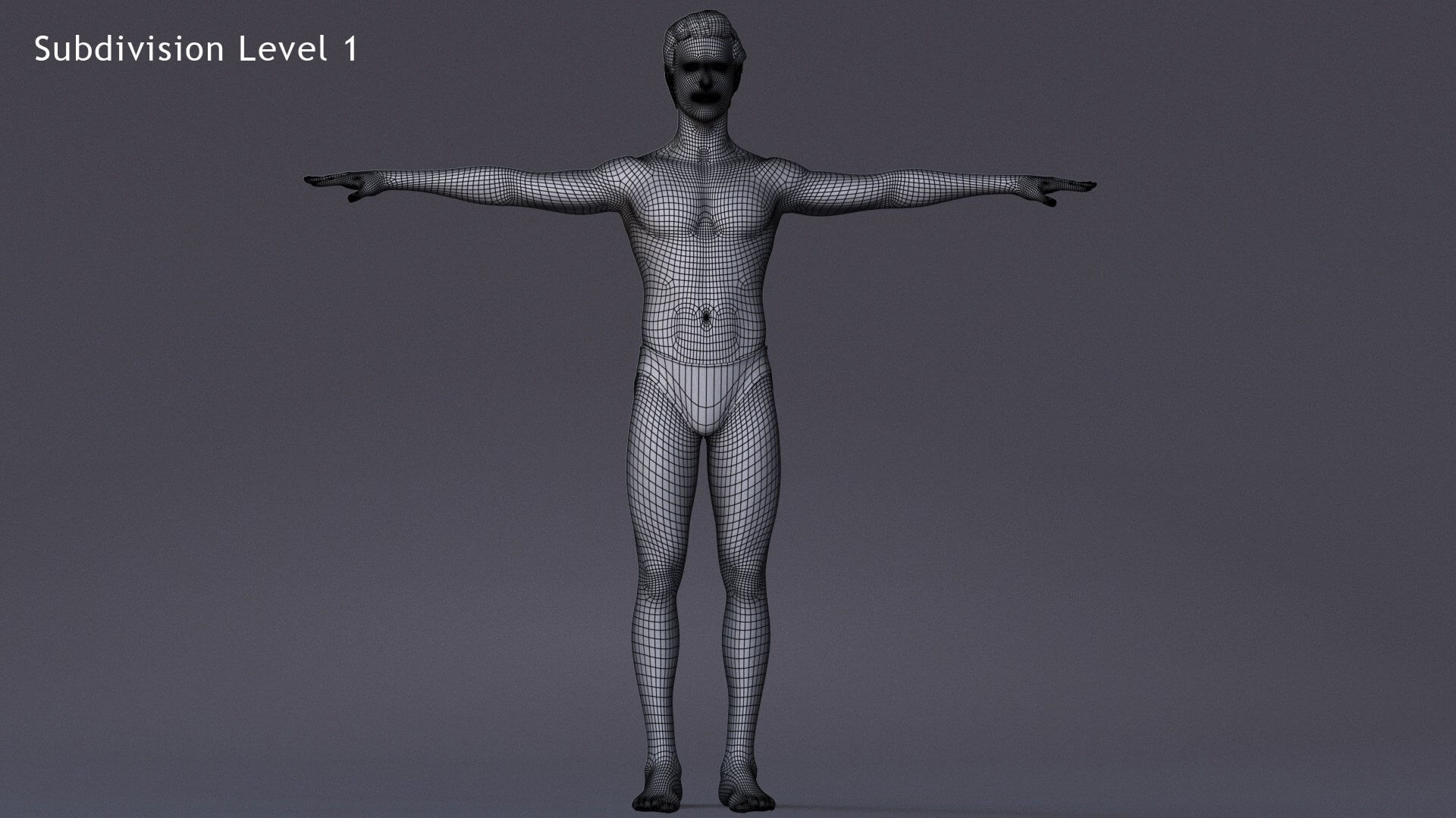 Male Full Body - 3D Model by Pradipta