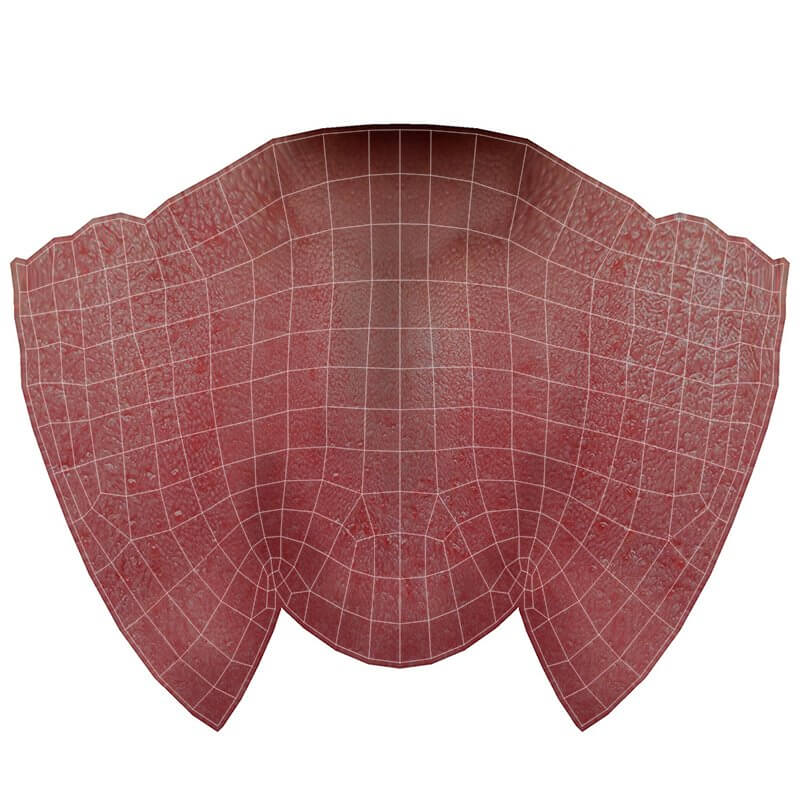 Male Full Body - 3D Model by Pradipta