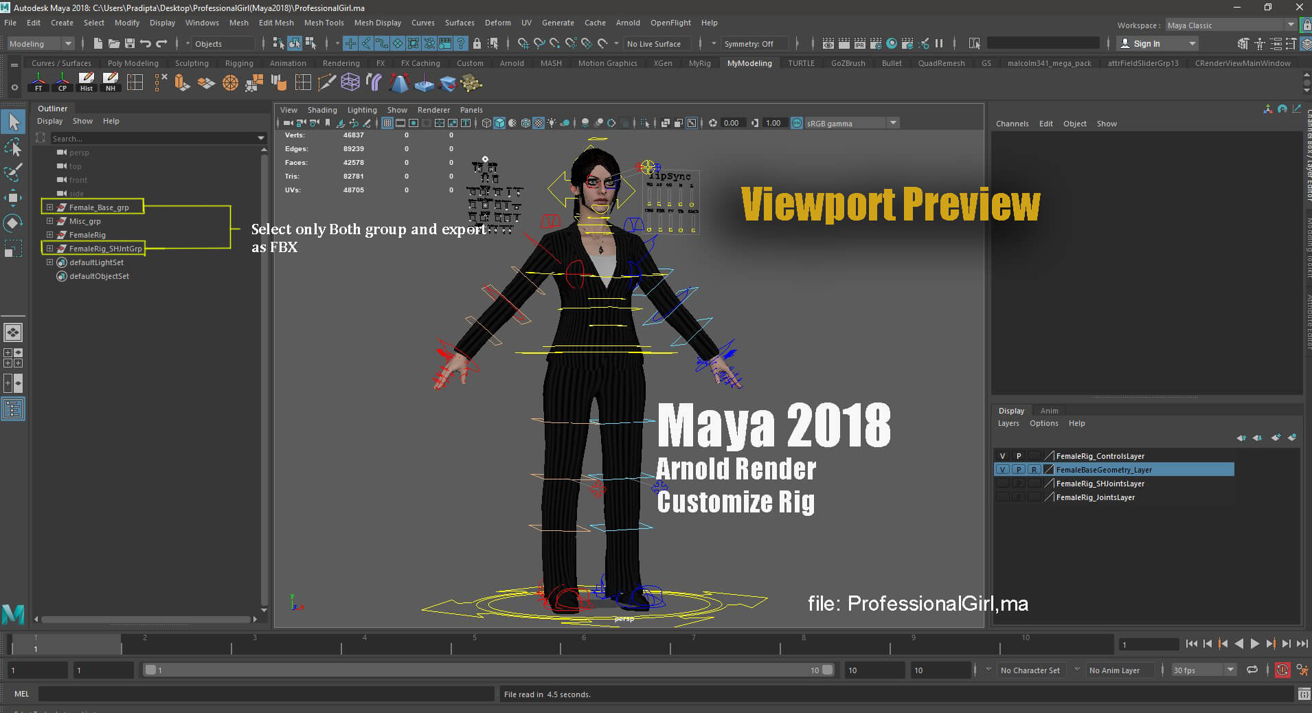 Professional Girl Rig - 3D Model by Pradipta