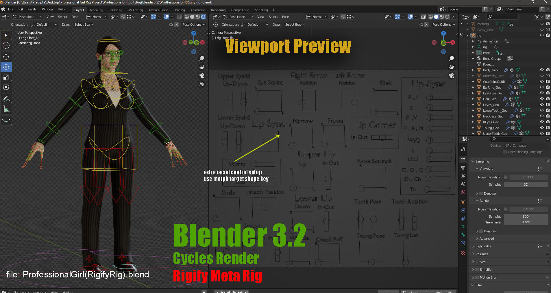 Professional Girl Rig - 3D Model by Pradipta