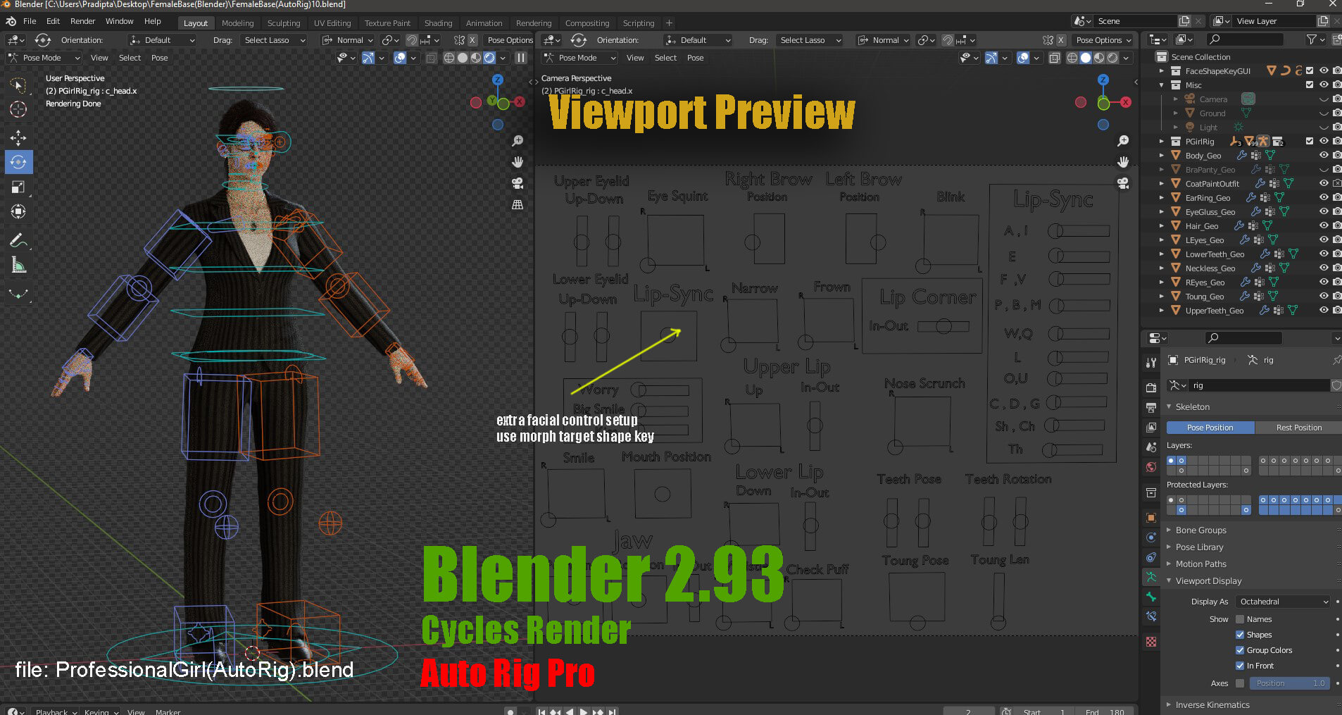 Professional Girl Rig - 3D Model by Pradipta