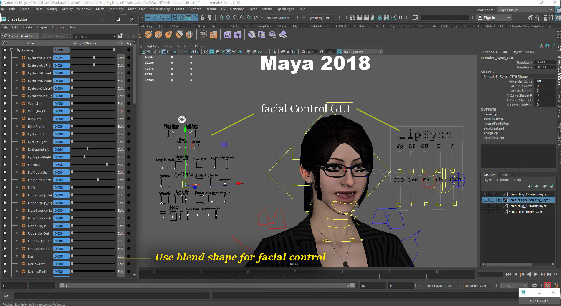 Professional Girl Rig - 3D Model by Pradipta