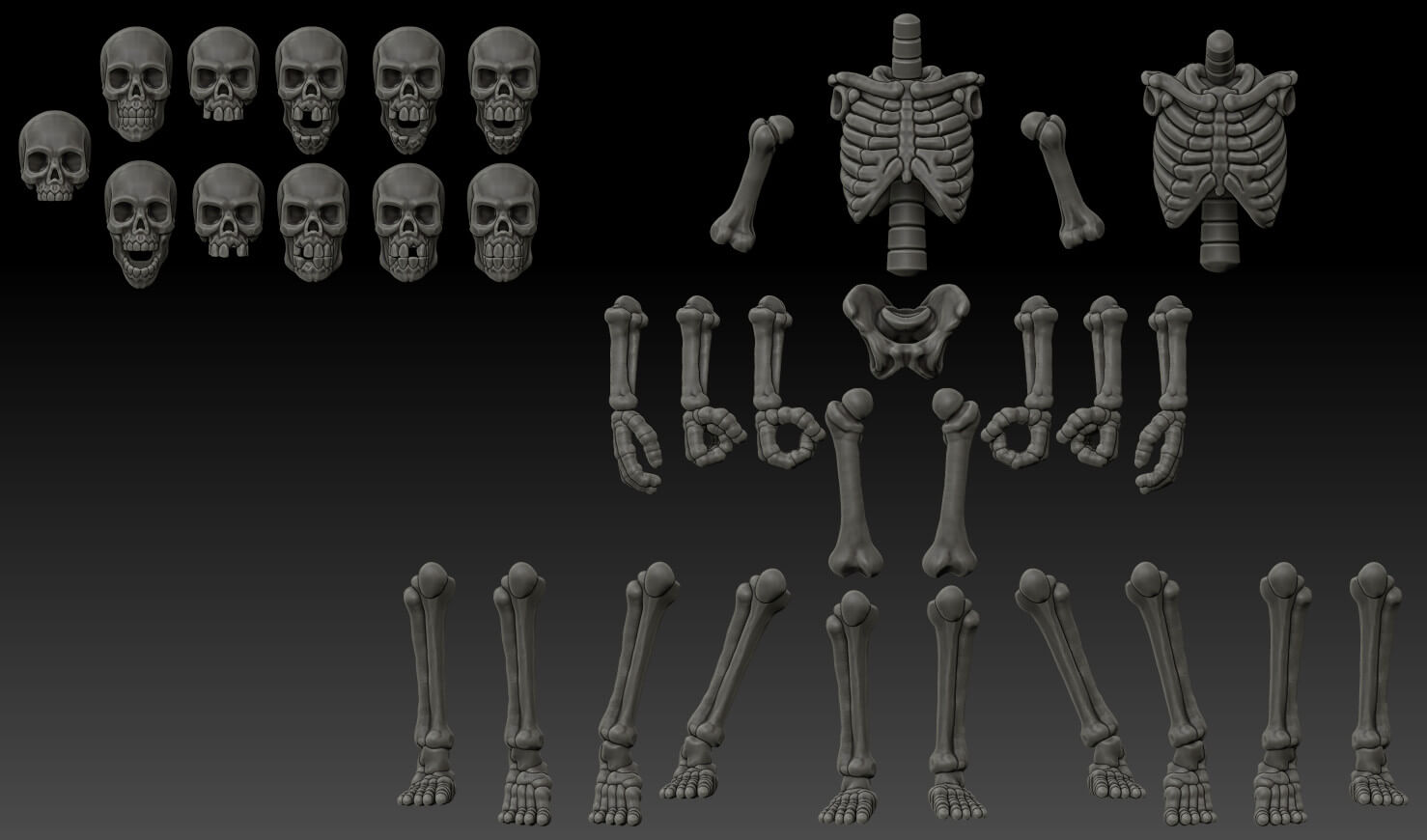 Skeleton Bone Set - 3D Model by PRiNG