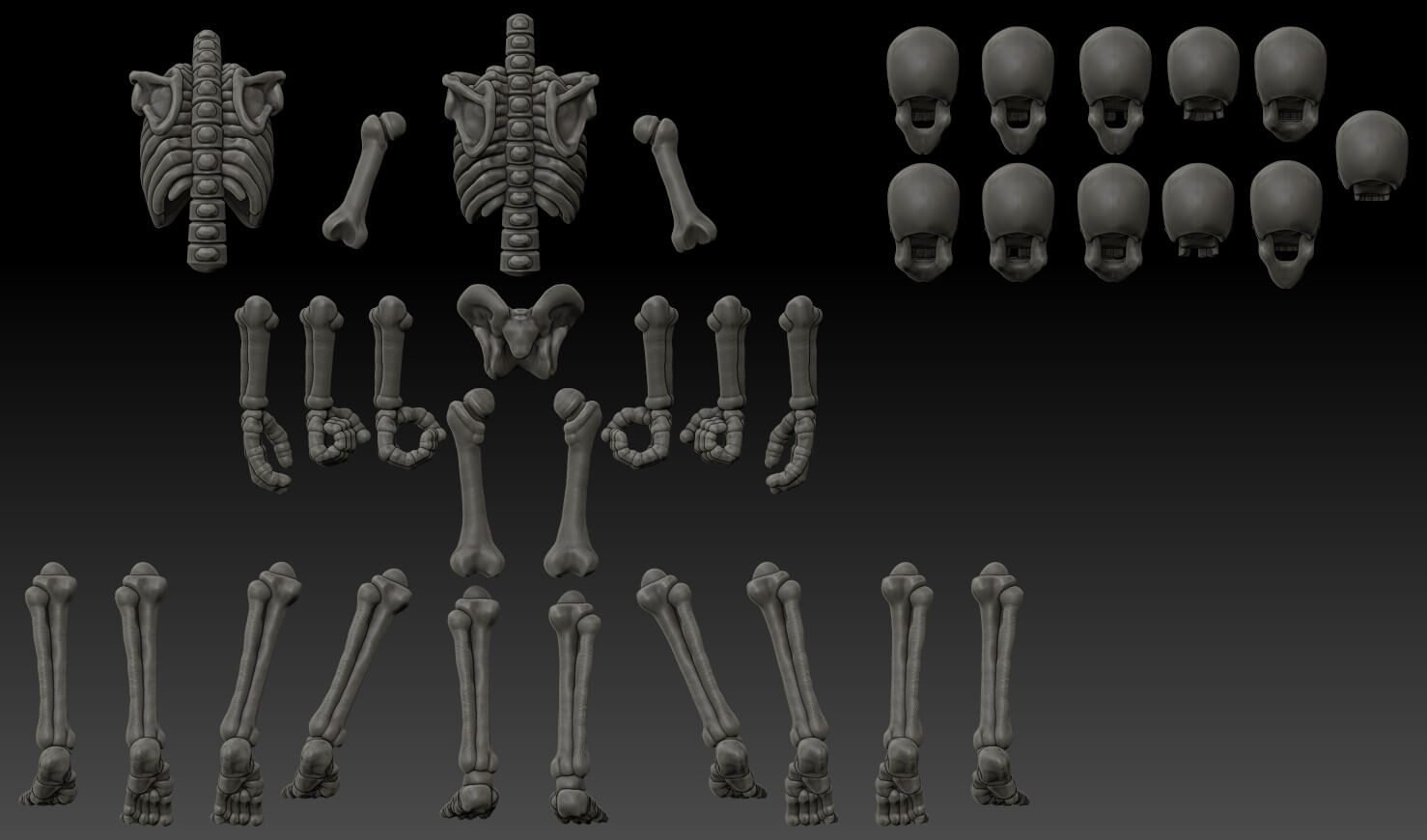 Skeleton Bone Set - 3D Model by PRiNG