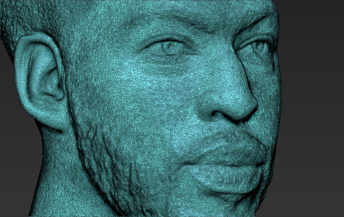 Anthony Davis Bust - 3D Model by PrintedReality