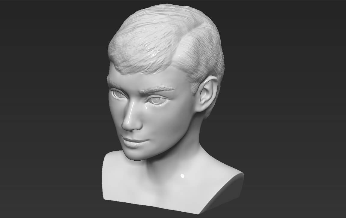 Audrey Hepburn Bust - 3D Model by PrintedReality