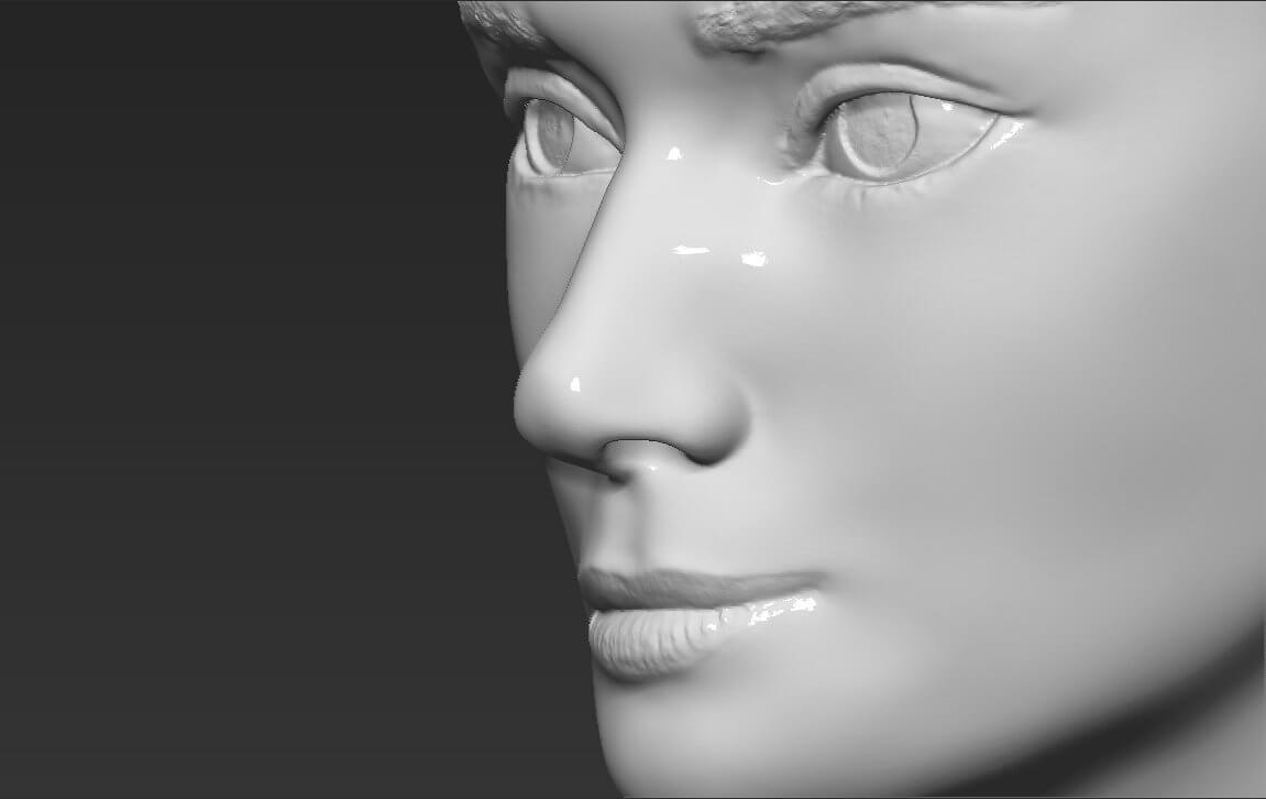 Audrey Hepburn Bust - 3D Model by PrintedReality