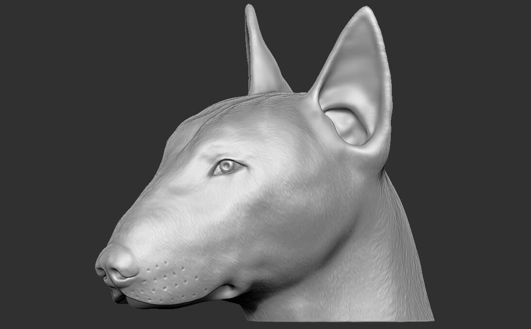 Bull Terrier Dog Head - 3D Model by PrintedReality