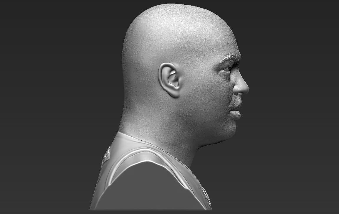Charles Barkley Bust - 3D Model by PrintedReality