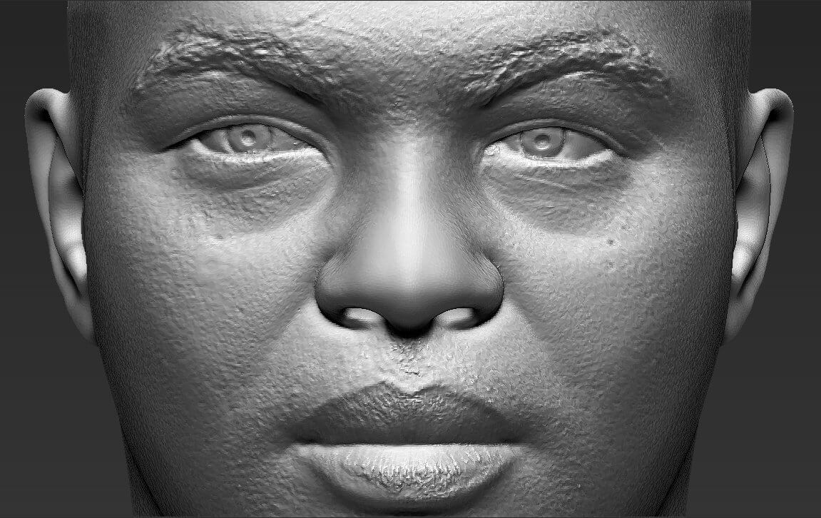 Charles Barkley Bust - 3D Model by PrintedReality