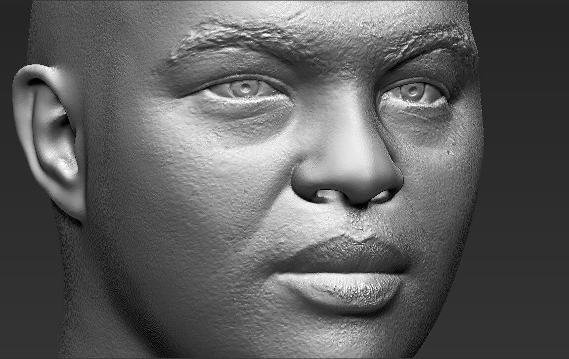 Charles Barkley Bust - 3D Model by PrintedReality
