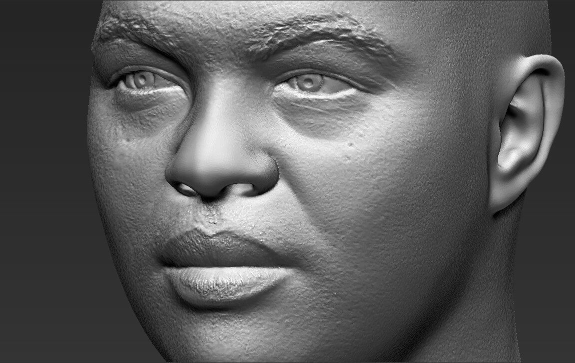 Charles Barkley Bust - 3D Model by PrintedReality