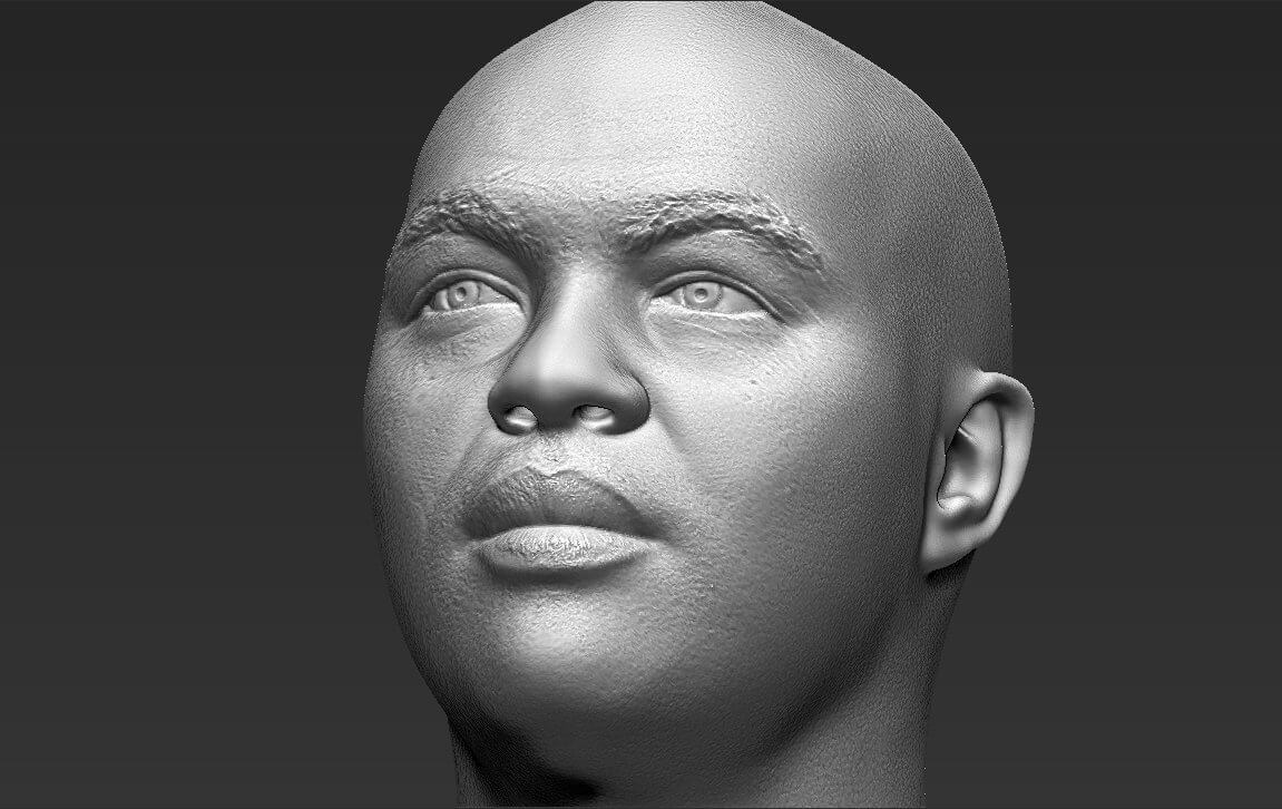 Charles Barkley Bust - 3D Model by PrintedReality