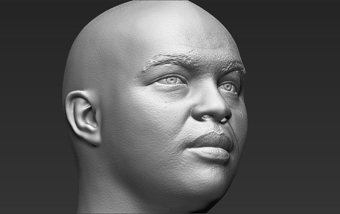 Charles Barkley Bust - 3D Model by PrintedReality