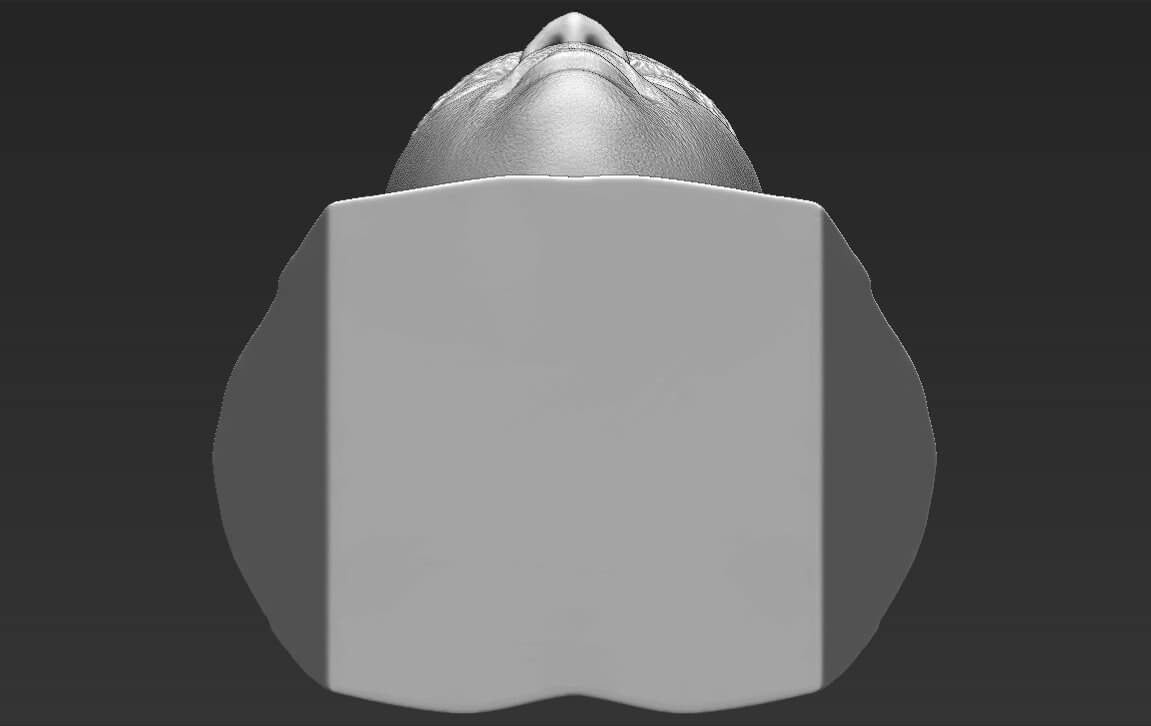 Charles Barkley Bust - 3D Model by PrintedReality