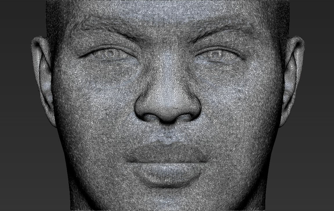 Charles Barkley Bust - 3D Model by PrintedReality