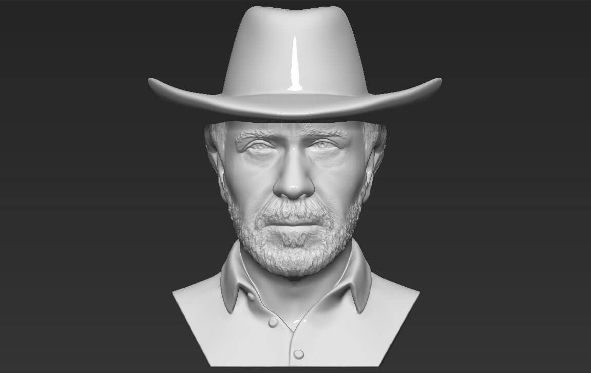 Chuck Norris Bust - 3D Print Model by PrintedReality