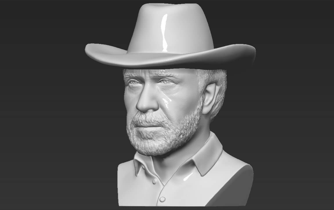 Chuck Norris Bust - 3D Model by PrintedReality