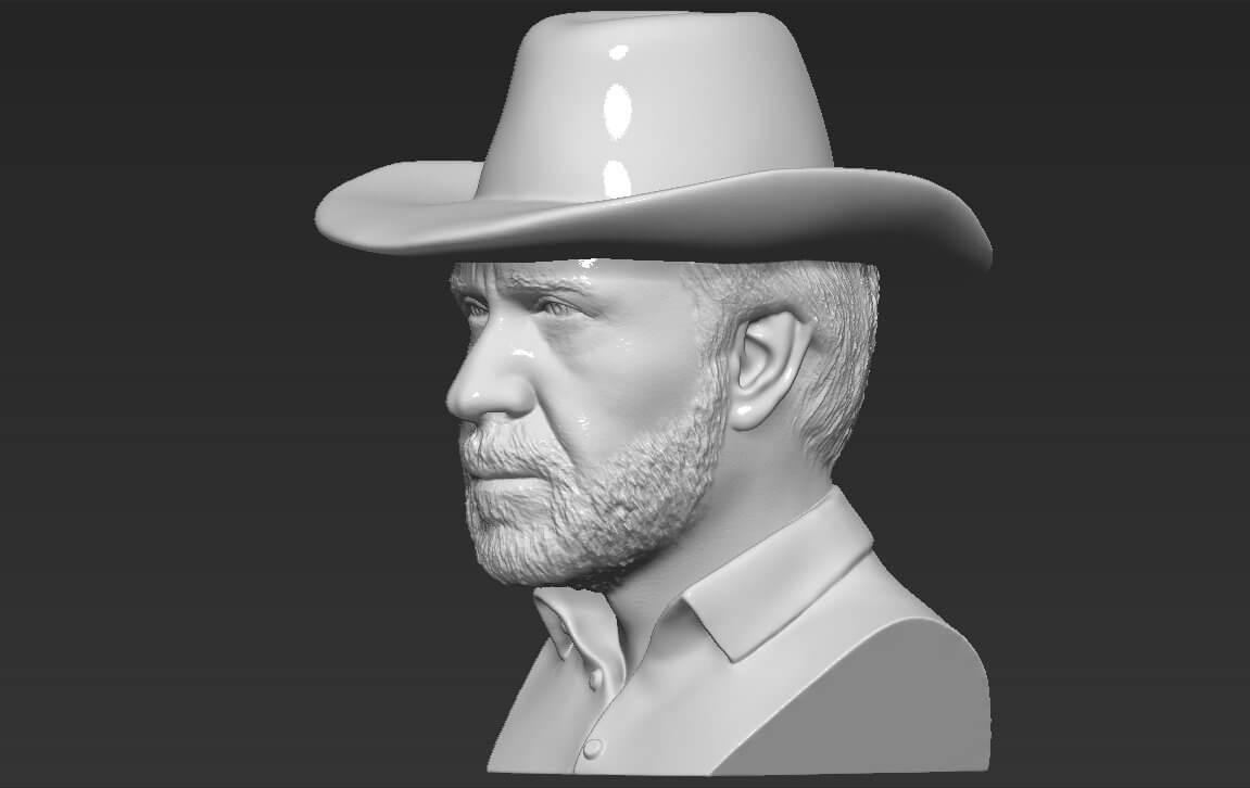Chuck Norris Bust - 3D Model by PrintedReality