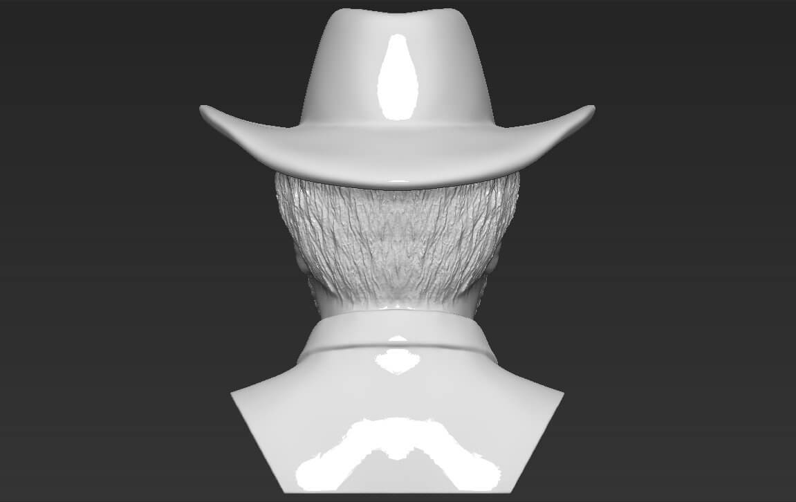 Chuck Norris Bust - 3D Model by PrintedReality