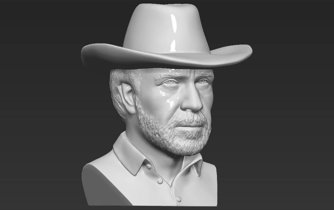 Chuck Norris Bust - 3D Model by PrintedReality
