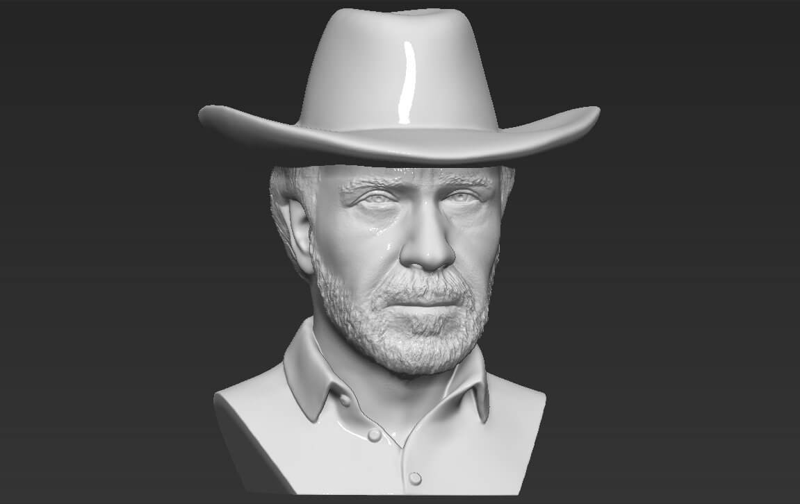 Chuck Norris Bust - 3D Model by PrintedReality