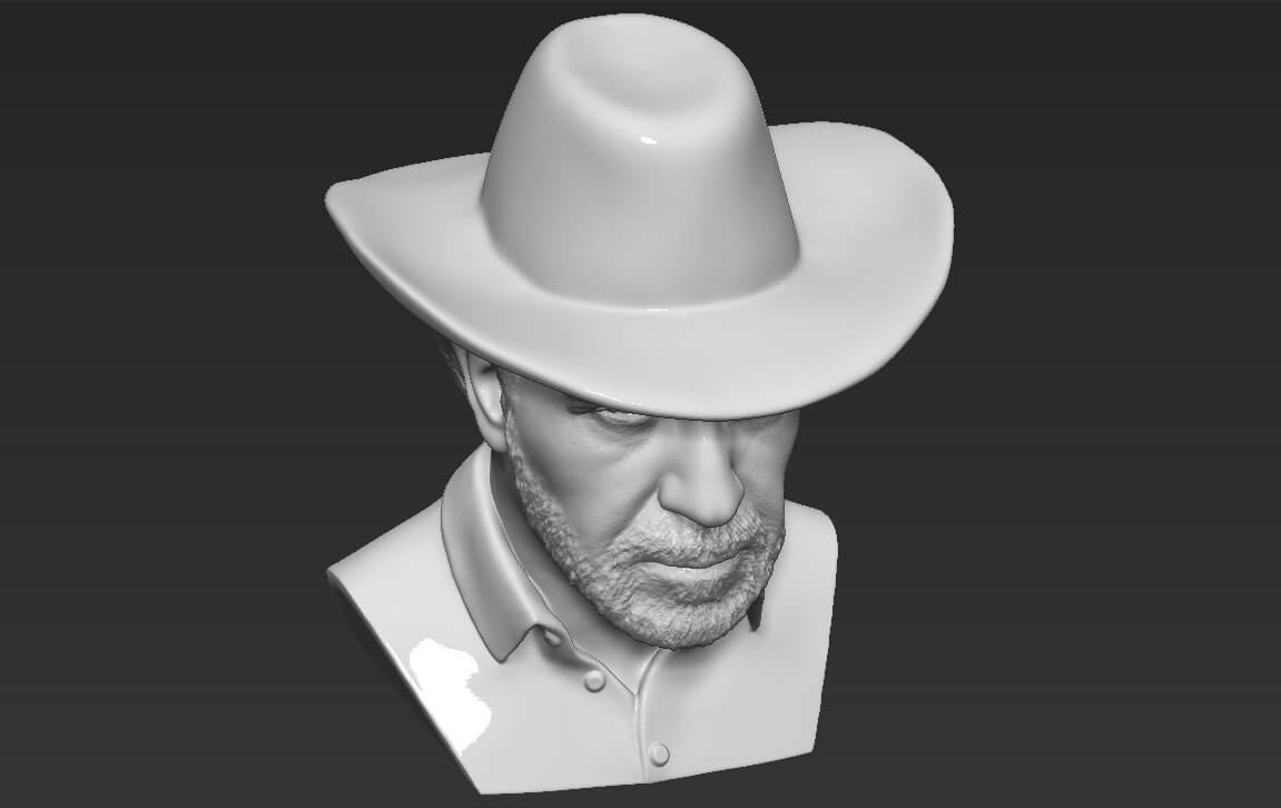 Chuck Norris Bust - 3D Model by PrintedReality