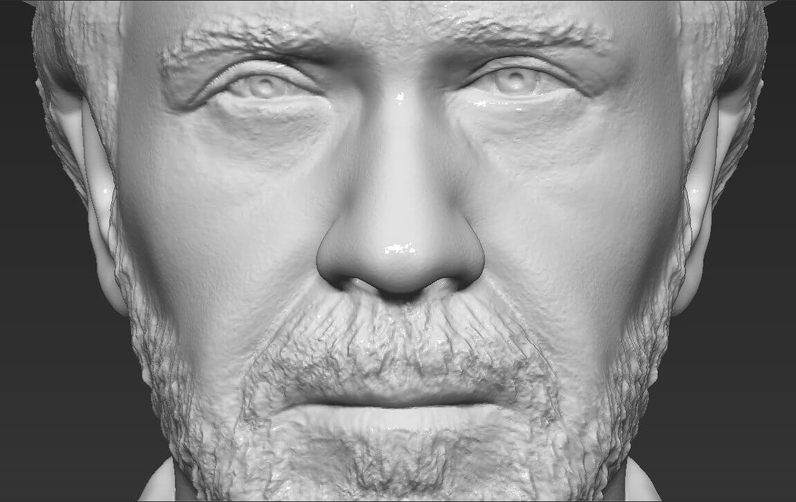 Chuck Norris Bust - 3D Model by PrintedReality