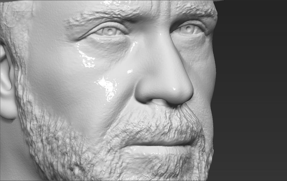 Chuck Norris Bust - 3D Model by PrintedReality
