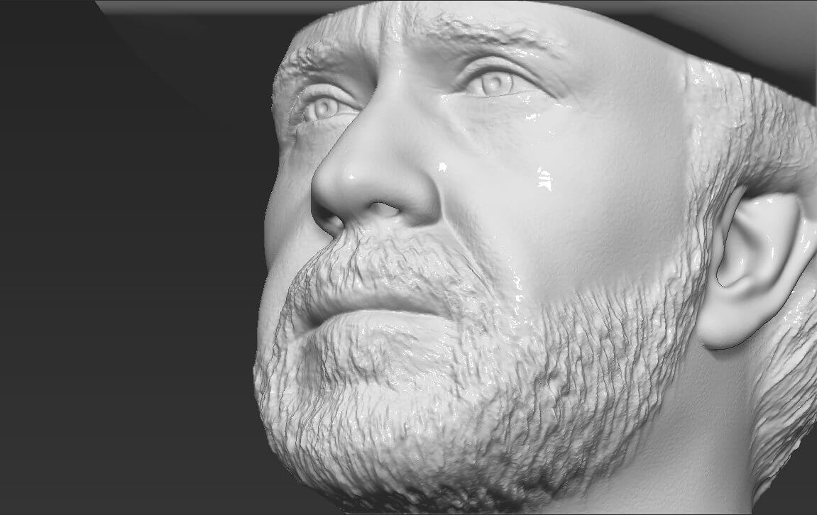 Chuck Norris Bust - 3D Model by PrintedReality