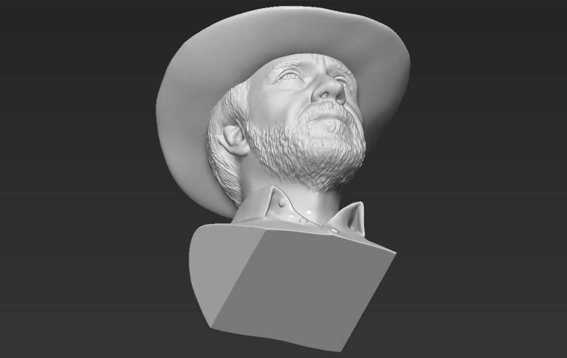 Chuck Norris Bust - 3D Model by PrintedReality
