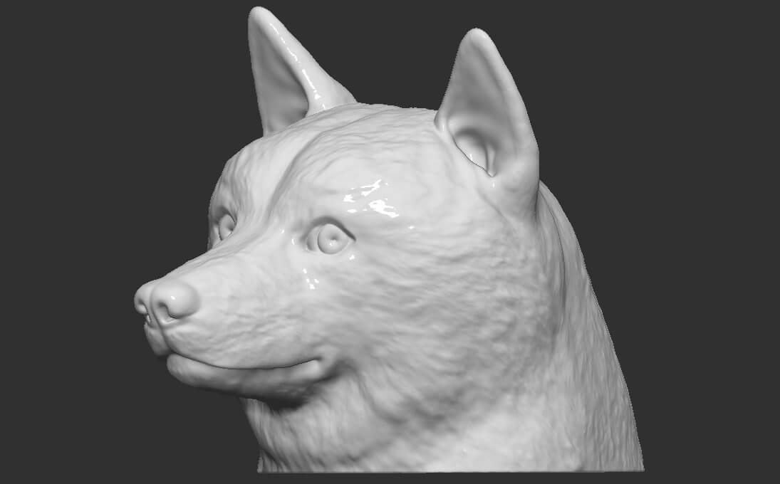 Doge Meme Shiba Inu Head - 3D Model by PrintedReality